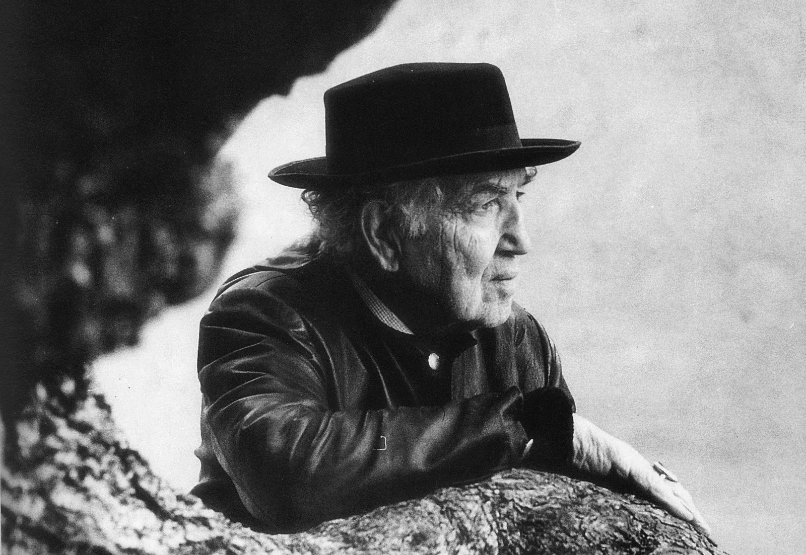 En el verso, universo: Robert Graves - El Ciervo